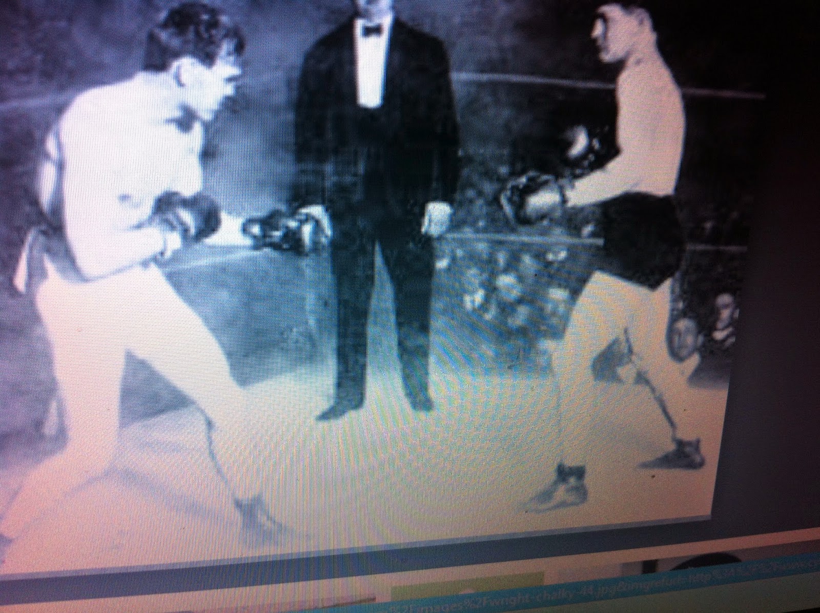 THE BLACK SOCIAL HISTORY:: BLACK SOCIAL HISTORY : AFRO-CANADIAN ...