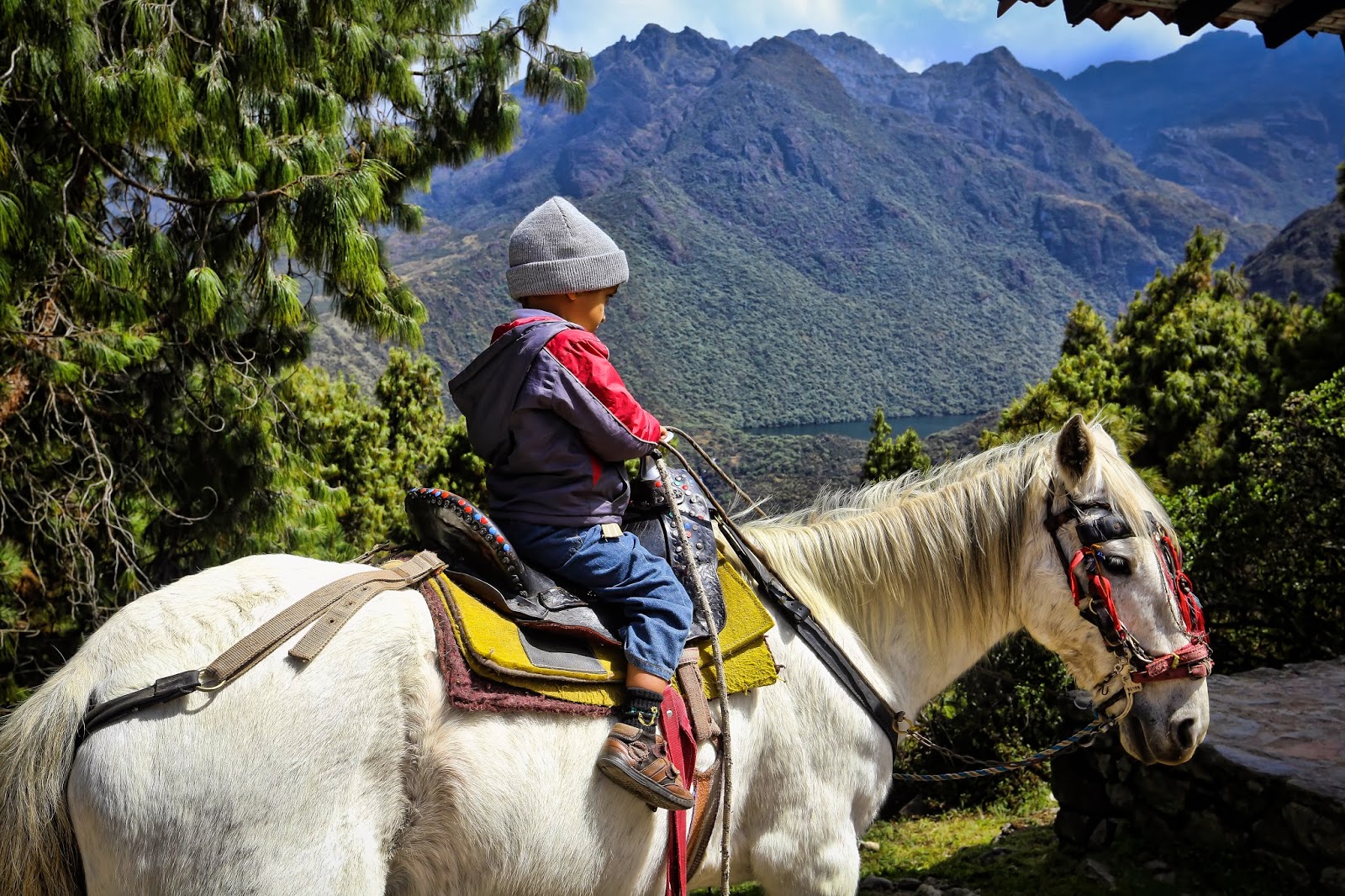 OFF THE BEATEN TRACK: Venezuela - Merida