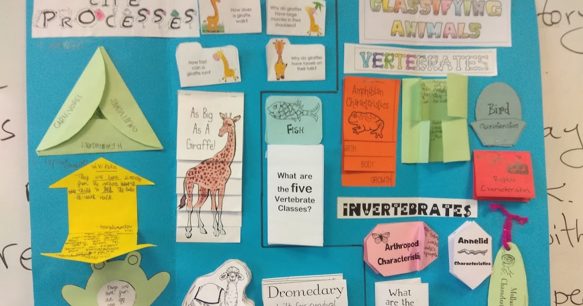 ENGLISH: 3rdA SCIENCE LAPBOOK FINISHED!