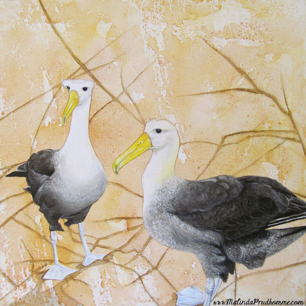 Malinda Prud'homme: A Mixed Media Artist's Blog: Courtship Of The Waved ...