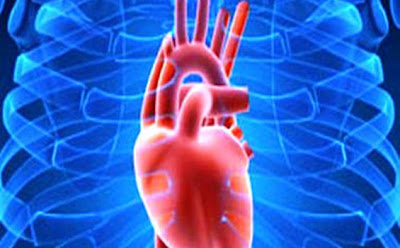 Seafood Beneficial For Heart Health | Chronic Sore Throat