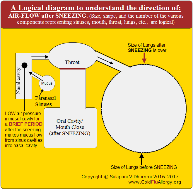 Instant relief from thick mucus!!!
