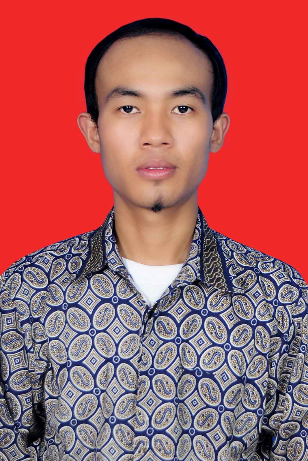 Fuji Photography: Pas Photo