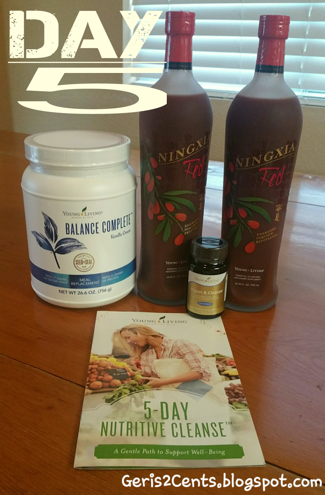 Geri's 2 Cents: 5 Day Nutritive Cleanse Day 5