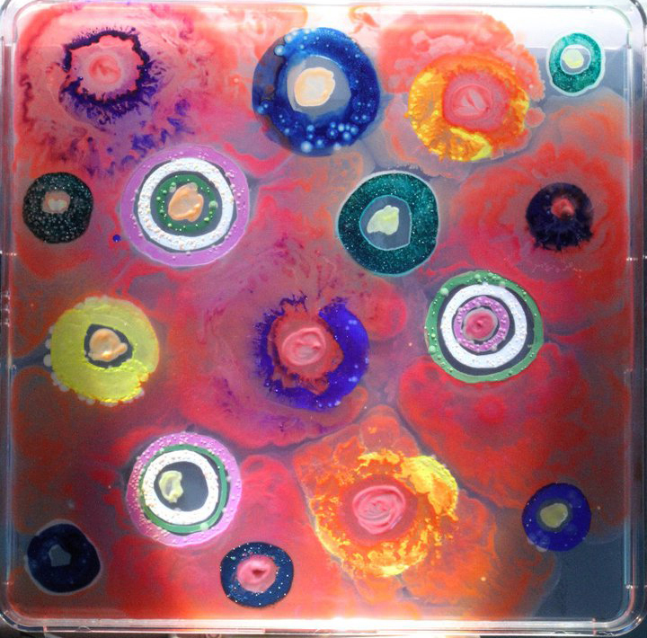 sarah roberts: making paintings with bacteria