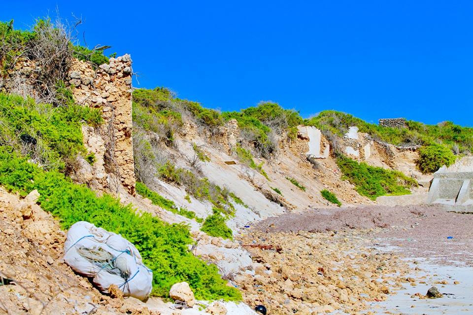 Ocean Care Movement Center: Daawo Sawirada Quruxda Warsheekh.........