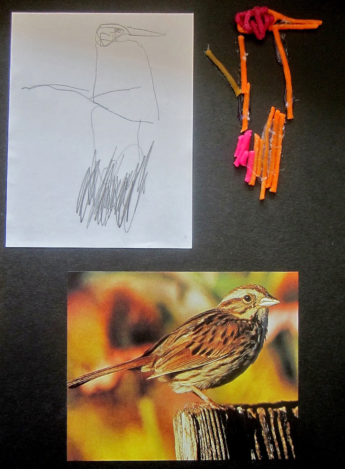 art and soul preschool: Birds of a Feather