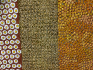 Deborah Louie : The daisy Path book