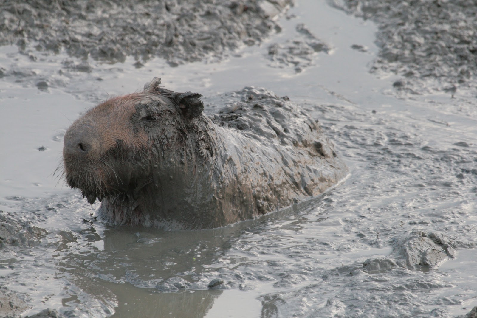 The Bagsy Blog: 11/01/12