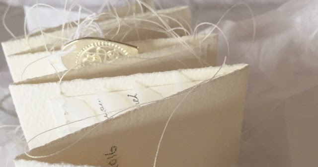 Paper Ponderings: Celebrating Books and Women Writers