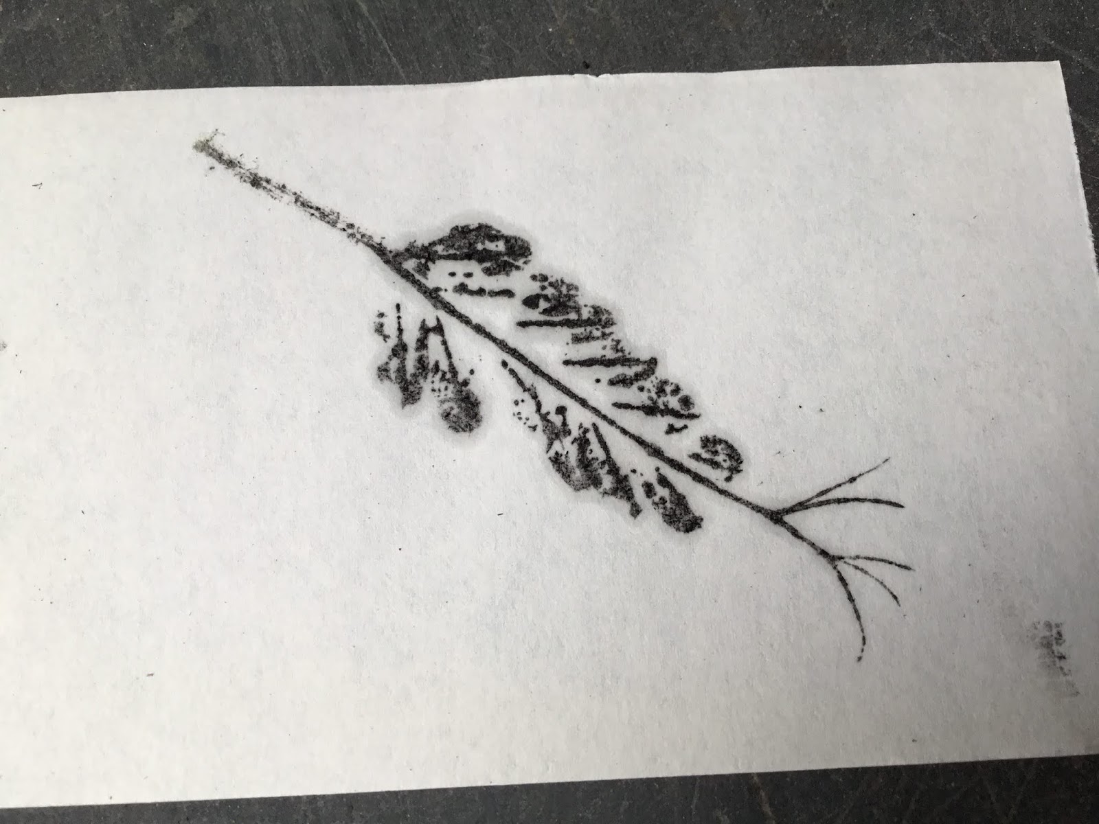 News From Oak and Beech Class: Charcoal printing