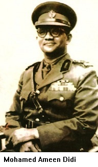 Maldives Presidency 2013: Made or broken by the local elite capitalist few?