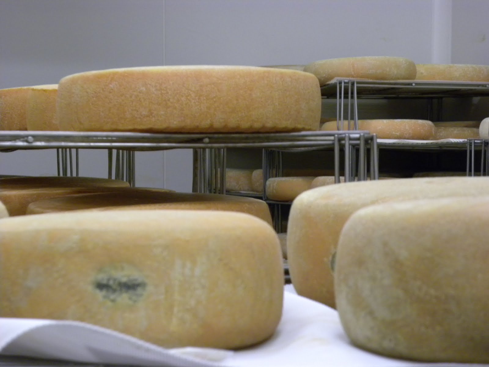 France Summer 2011: Les Formage (Cheese)