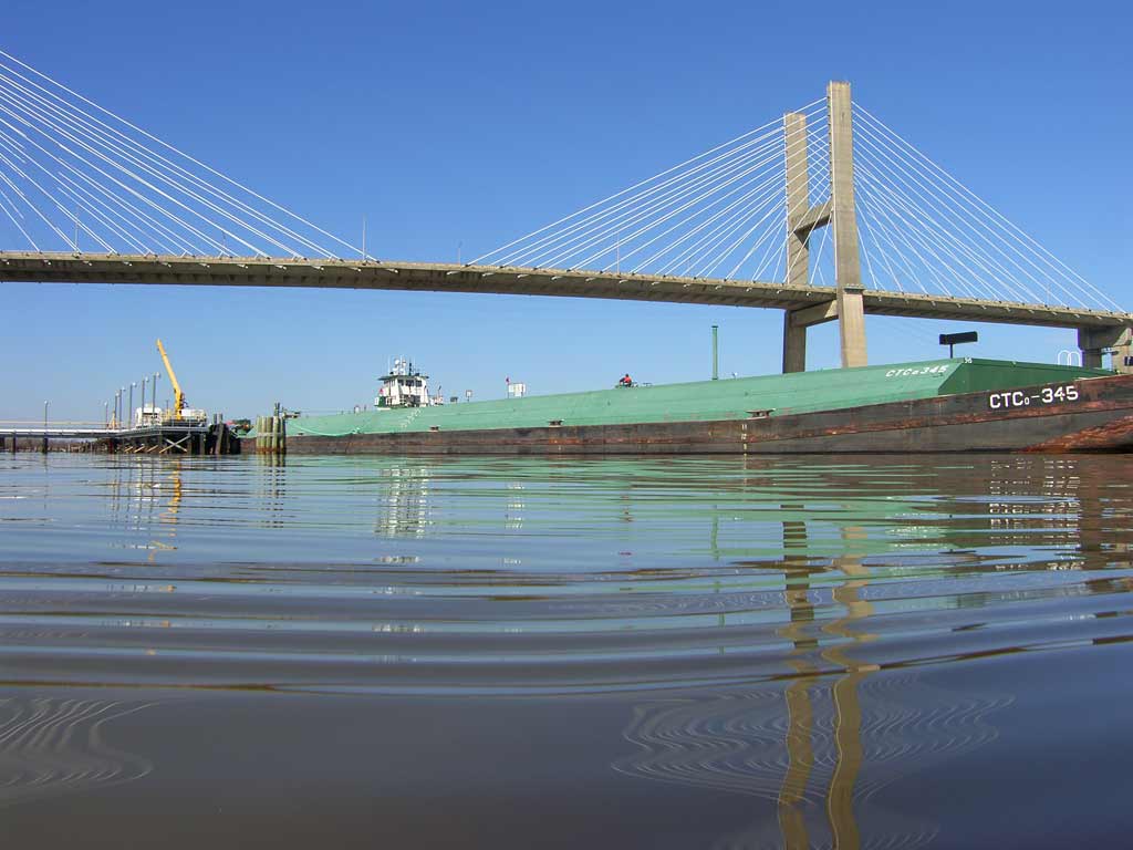 Kayaking the Mobile-Tensaw River Delta: 02/26/2010 - Mobile River