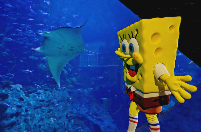 NickALive!: SpongeBob SquarePants and Friends Join Ocean Park Summer ...
