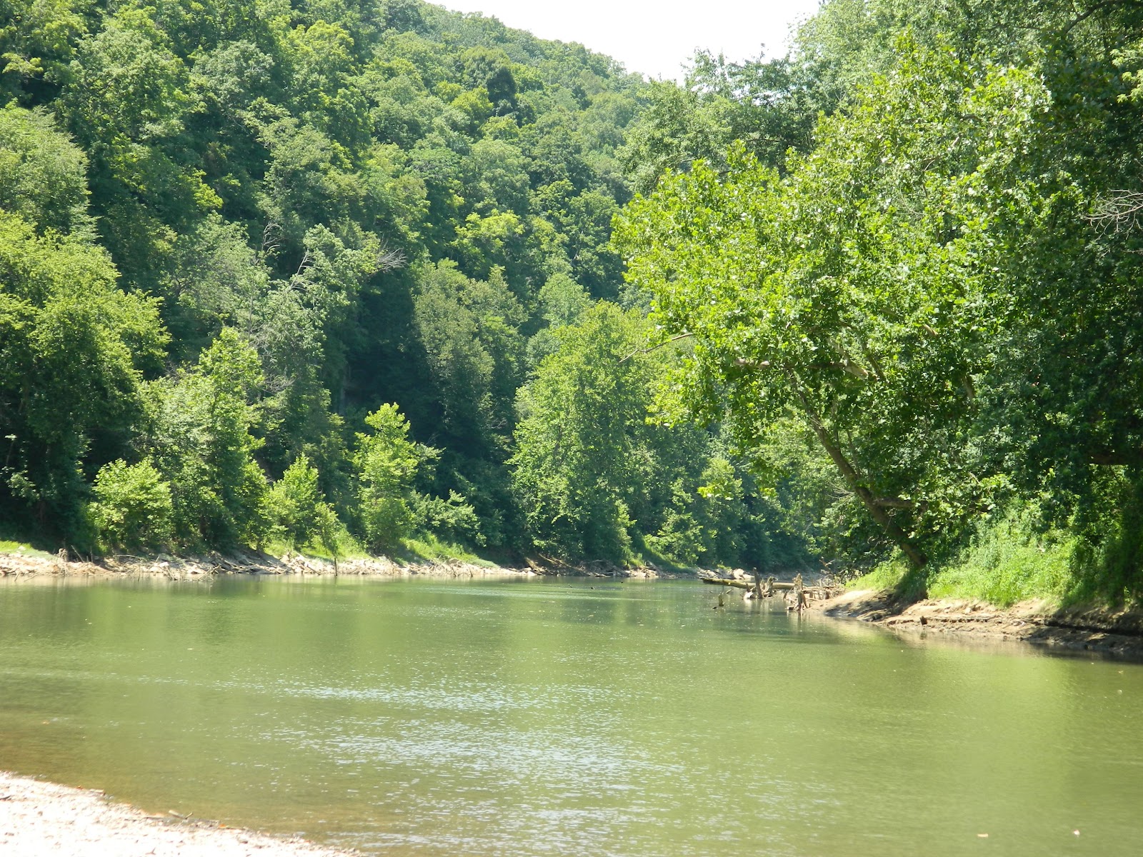 Paddle Tennessee: Green River - Green River Ferry to Houchins Ferry