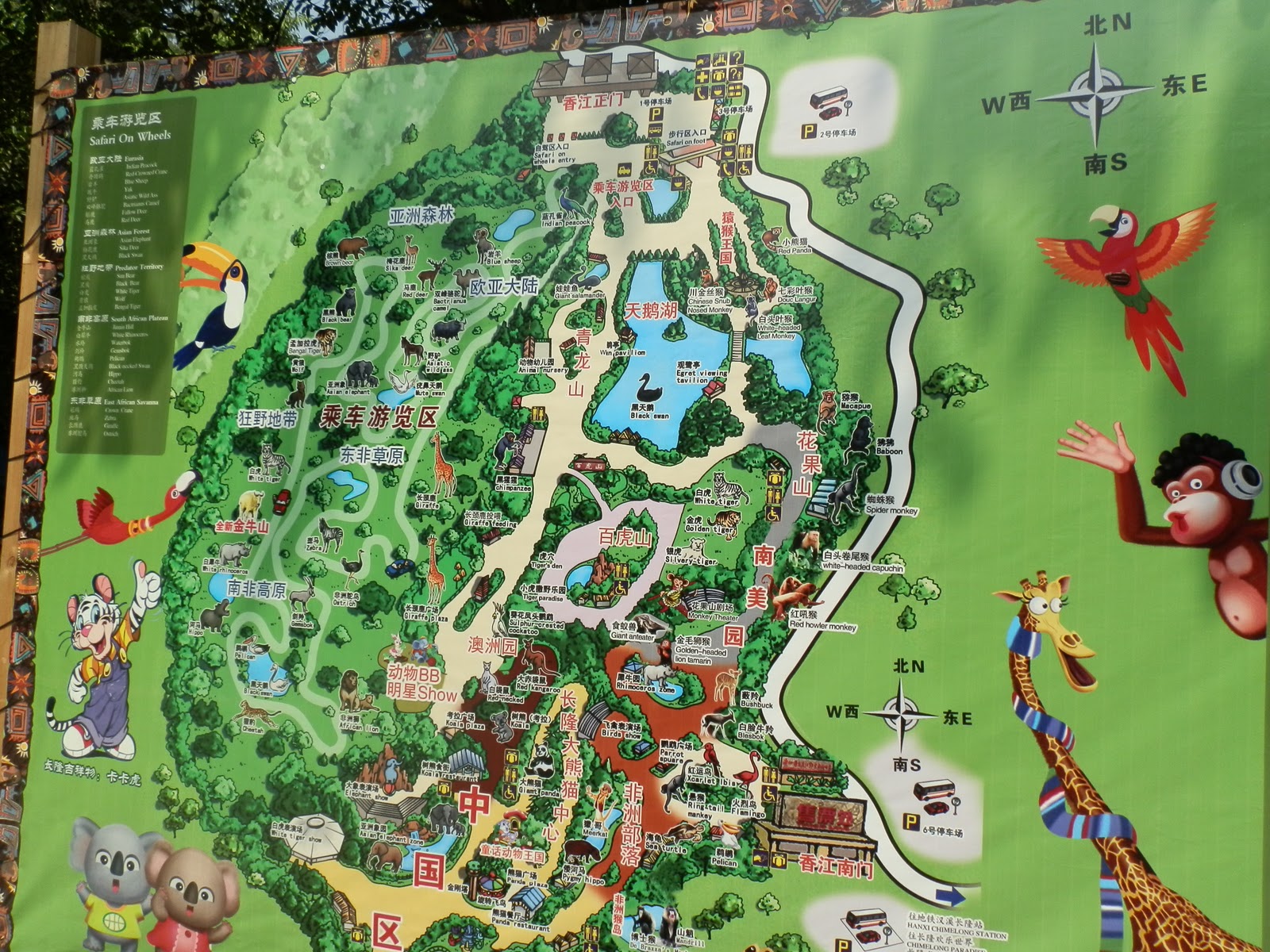 Table for Two: Guangzhou Zoo