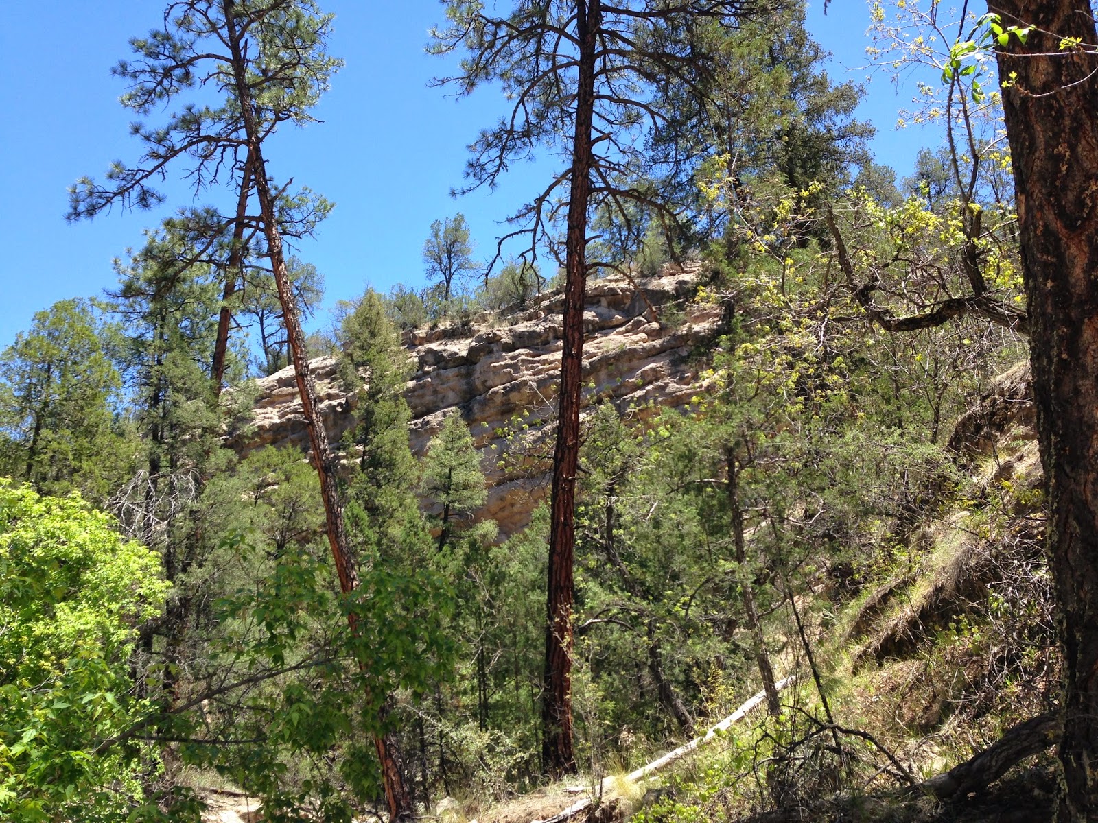 Southern New Mexico Explorer: Lake Roberts Box/Slot Canyons(south side ...