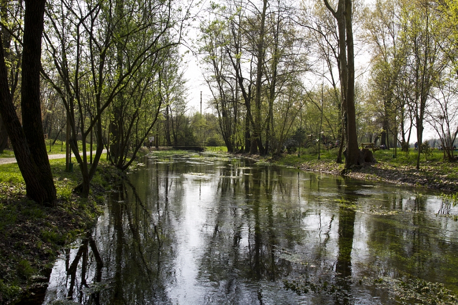 vita e dintorni: Reportage Sul Parco delle Risorgive di Codroipo