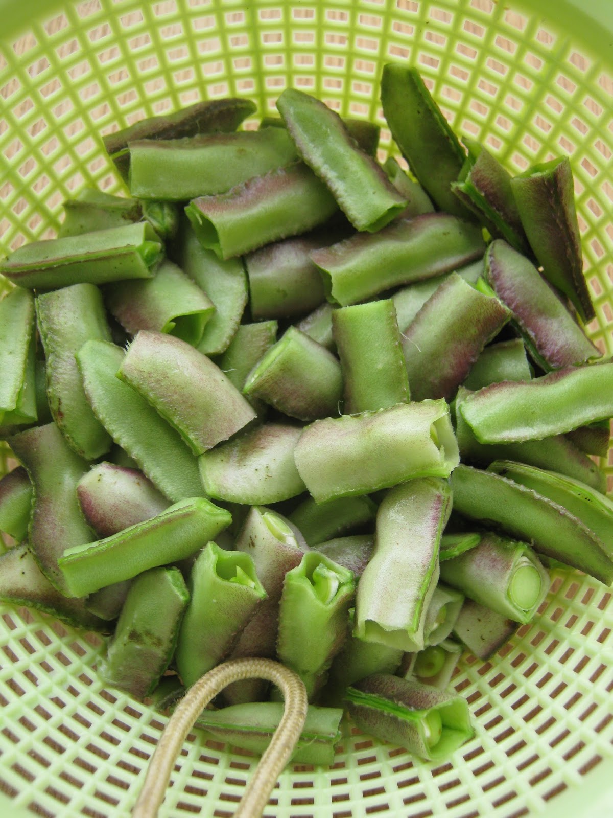 DAUN KARI Masakan Malaysia.....: KACANG SEPAT GORENG KELAPA