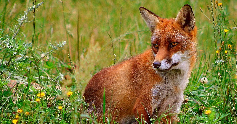 Dispatches from the LP-OP: Singleton recounts the days of old-fashioned ...