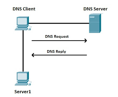 DHCP (Dynamic Host Configuration Protocol) | DNS (Domain Name System)