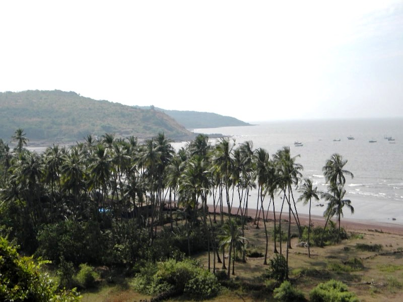 PALGHAR - Amazing Maharashtra