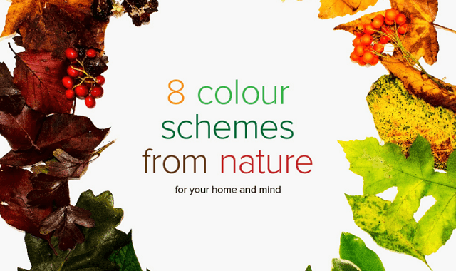 8 Colour Schemes From Nature For Your Home and Mind #Infographic ...