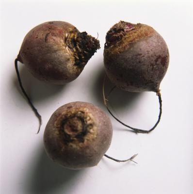 Tanning: How to Use Beets to Get a Good Suntan