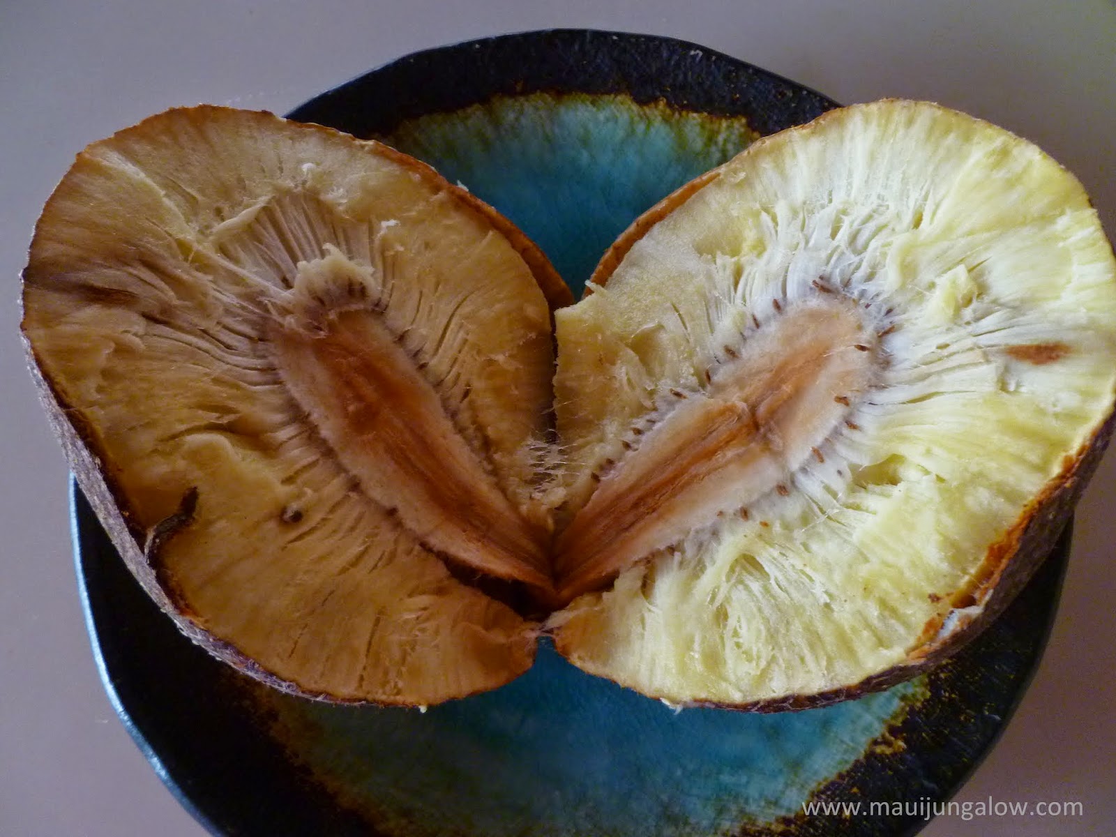 Maui Jungalow: Ulu (Hawaiian for Breadfruit, the Tree of Plenty)