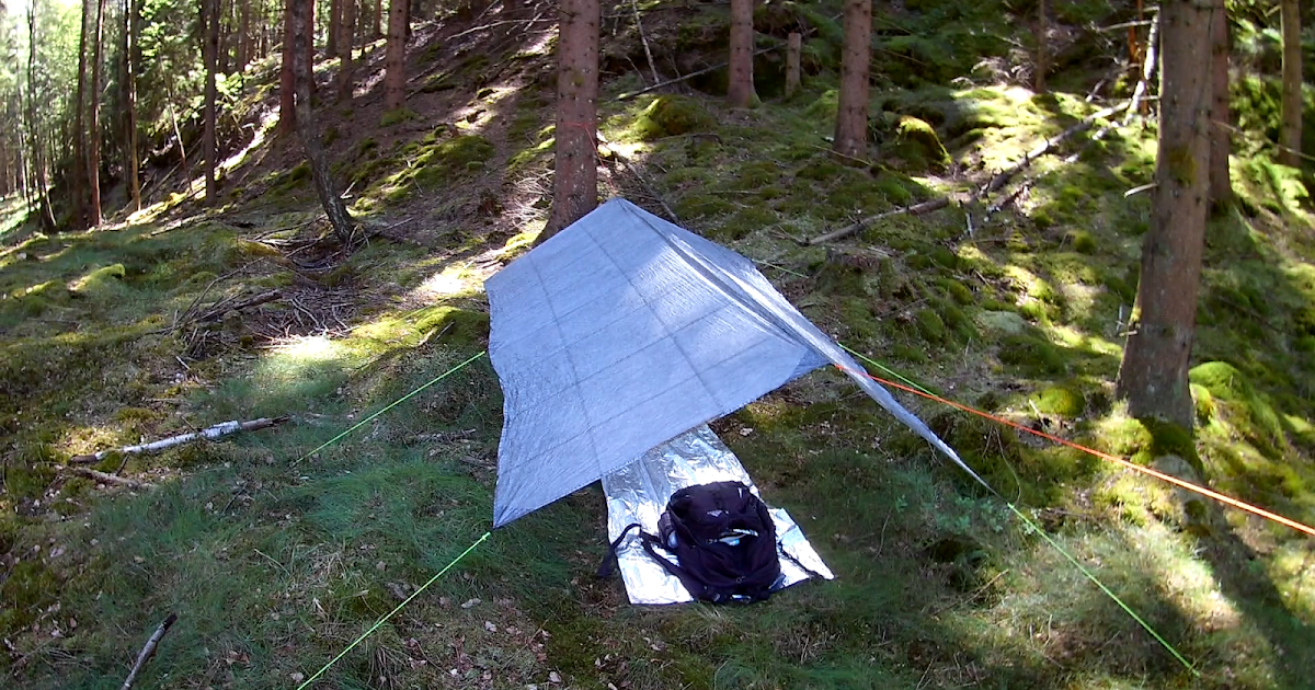Cesar and The Woods: How I Pitch Tarp Shelters