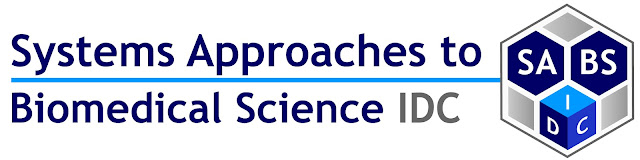 Designing Portfolio: SABS Logo