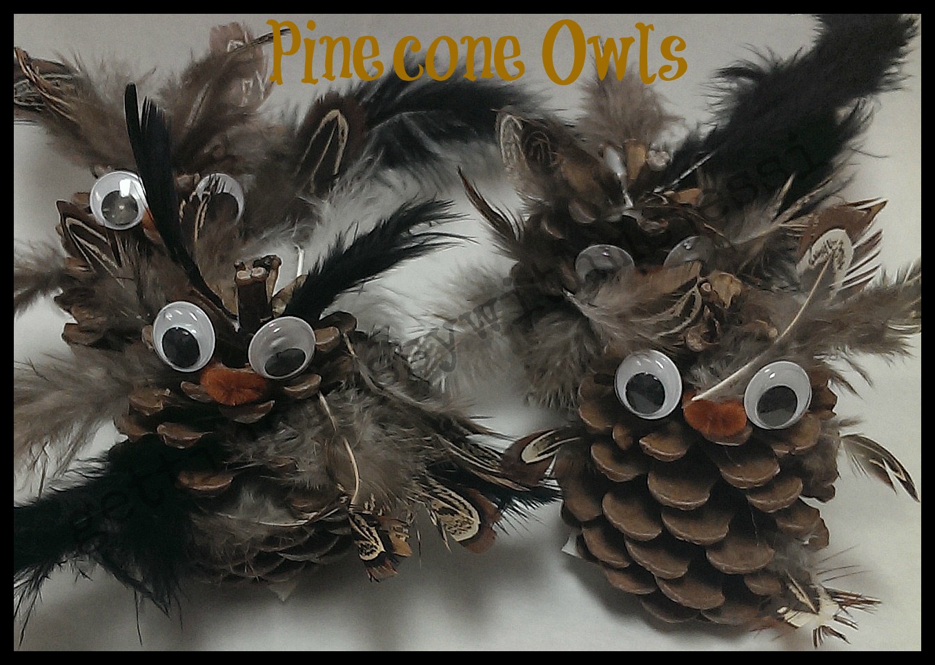 Pine cone owl | Baby owls, Halloween crafts for kids, Pinecone owls