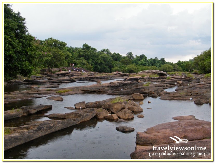 പ്രകൃതിയിലേക്ക് ഒരു യാത്ര (a travel towards NATURE): EZHATTUMUGHAM ...