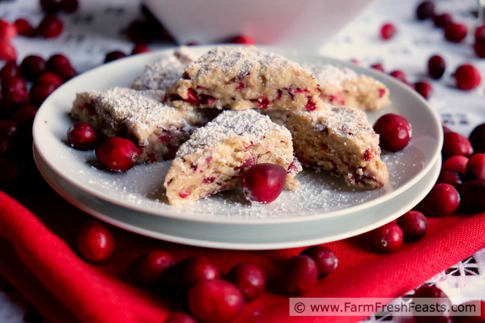 Farm Fresh Feasts: Fresh Cranberry Mini Scones