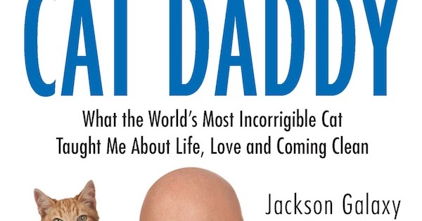 Catladyland: Cats are Funny: Cat Daddy's Book: Review, Soundtrack ...