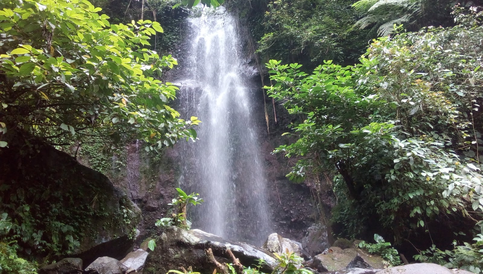 WewW, Kereeeeen!!: Curug Ciampea: Satu lagi wisata alam di Bogor
