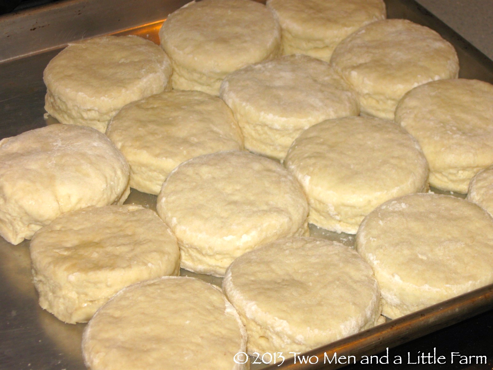 Two Men and a Little Farm: June 2013