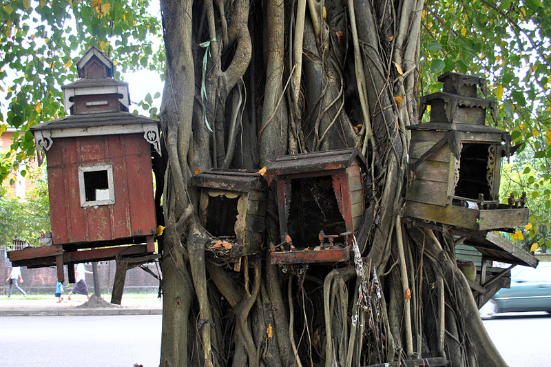 Lisa & Dewey - South East Asia: Yangon, Myanmar