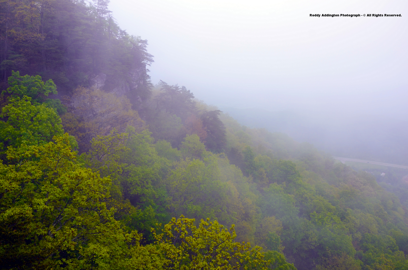 The High Knob Landform: The Beauty of Mid-Late Spring 2012