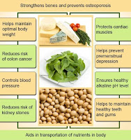 Good Health & Nutrition by Odra: Calcium is needed at Every Stage of Life