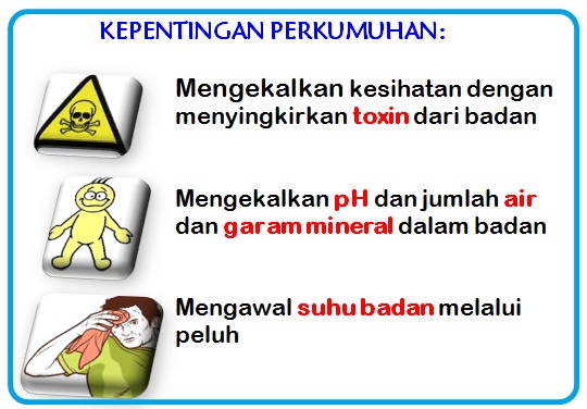 CikGu ReMy: [Quick Revision] F3 - Chapter 3