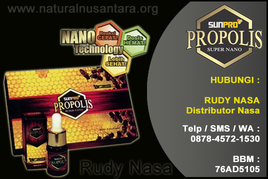 SUNPRO SUPER NANO PROPOLIS