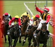 Women in Horse Racing