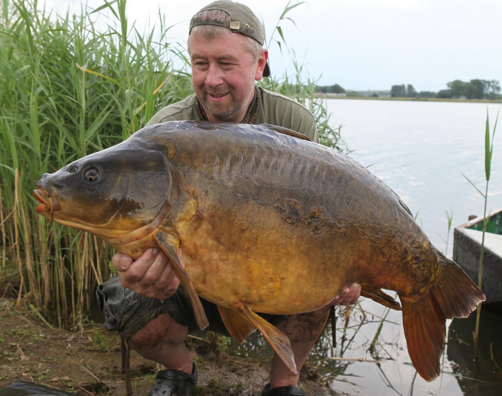 Solar Tackle - For the Sharper Blogger!: 50's from six countries for ...