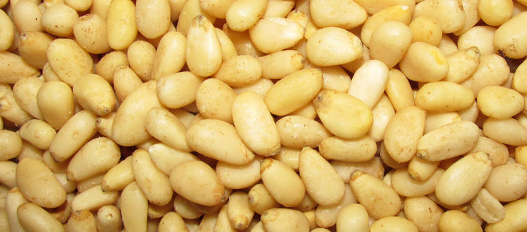 Fast Tree Removal Services Atlanta: 4 Healing Trees for Your Backyard