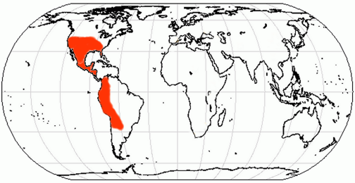 Abe's Animals: Dire wolf range