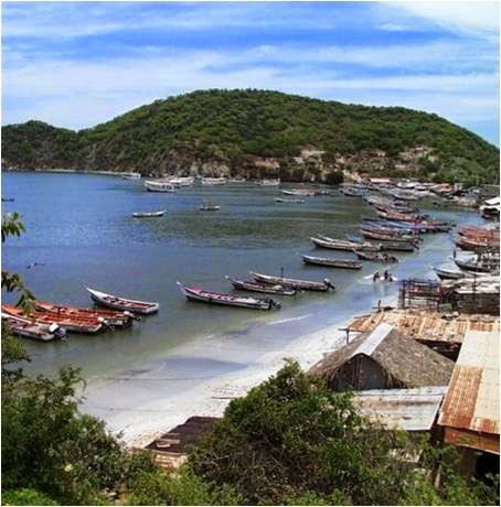 Especies Marinas Venezolanas: Reseña Histórica Nuestra Comunidad de Guaca.