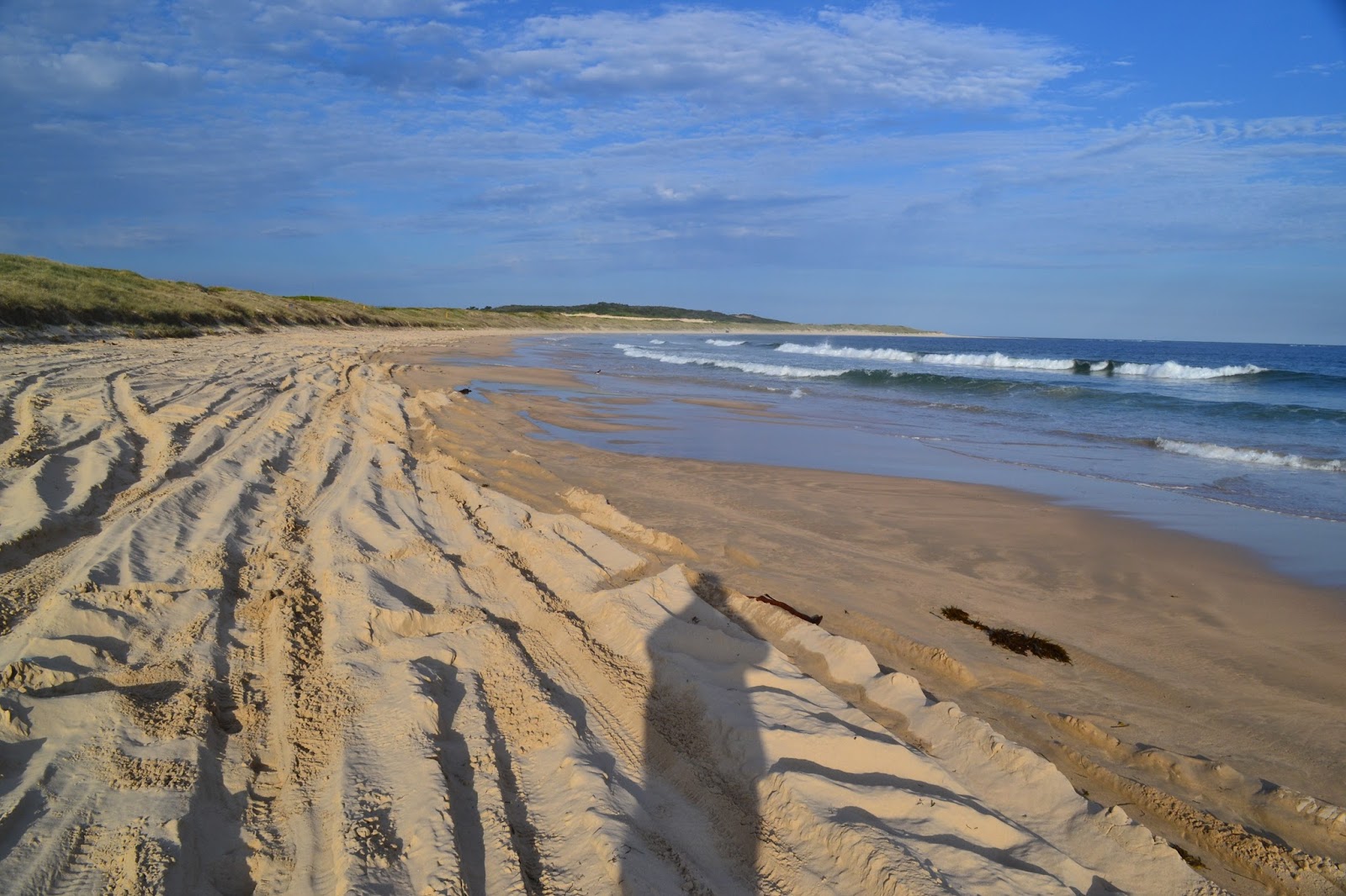 Goin' Feral One Day At A Time: Kurnell to Cronulla, Botony Bay National ...