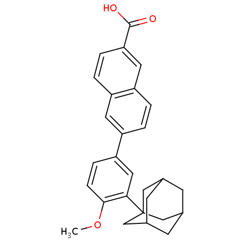 Pharmacology Of Adapalene
